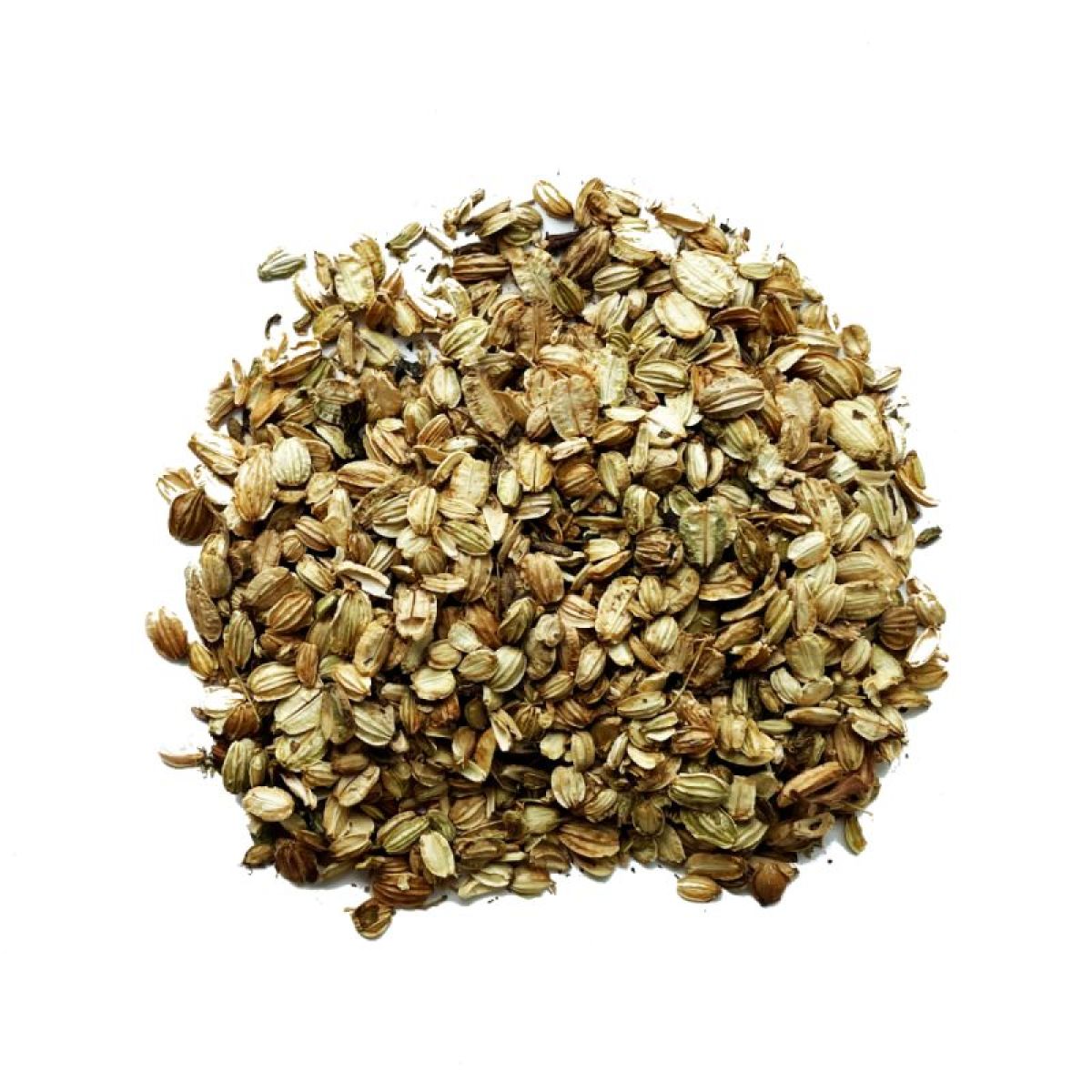 Angélique - fruit entier en pharmacie - appétit digestion fatigue