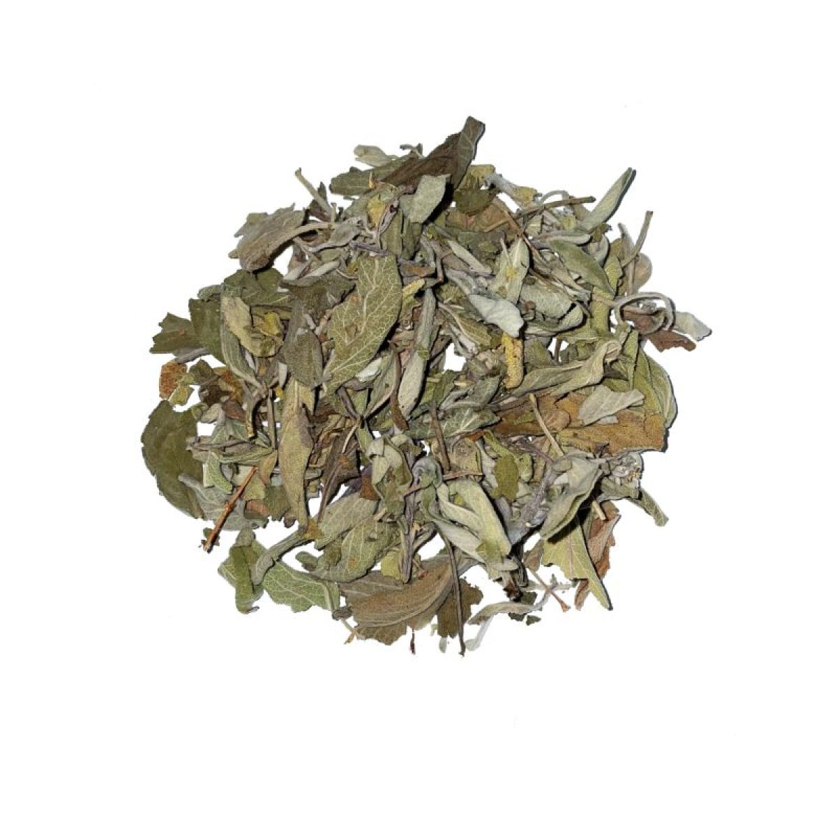 Sauge trouble digestif asthénie hypersudation règle douloureuse