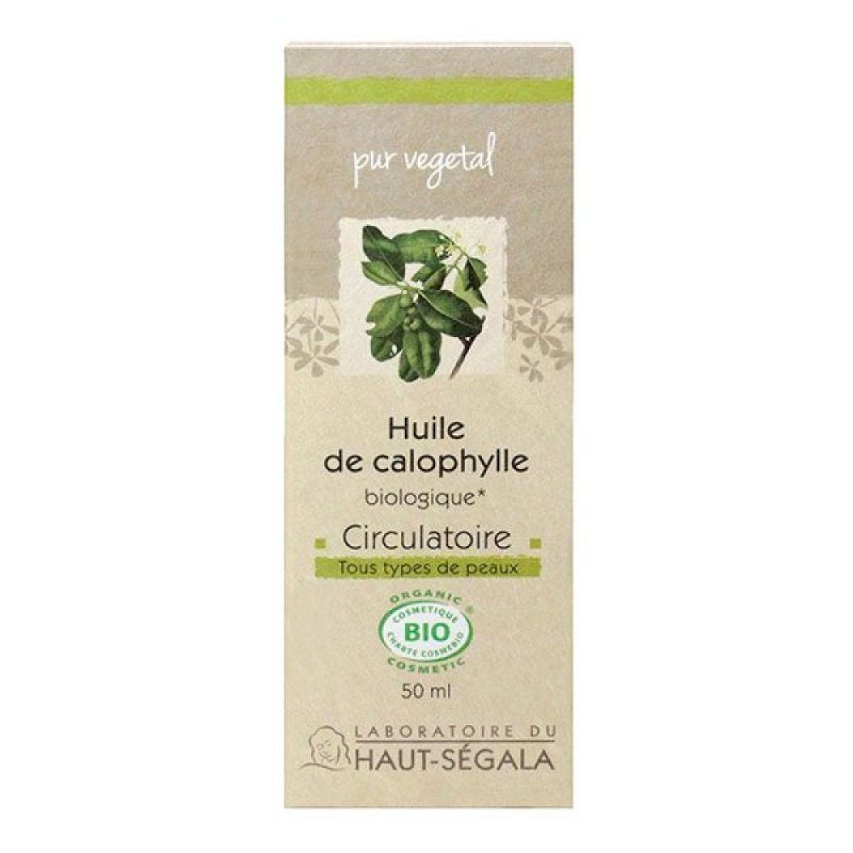 Huile de Calophylle Bio : Circulation et régénération - 50ml