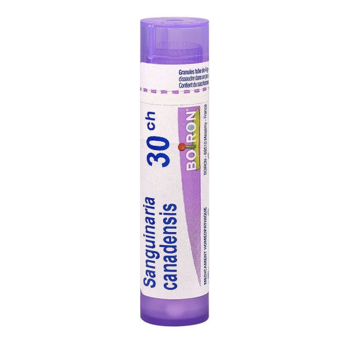 Sanguinaria Canadensis 30CH Tube Granules - Soulagement naturel
