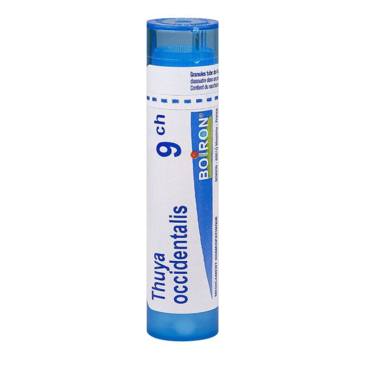 Thuya Occident. 9Ch Tg B