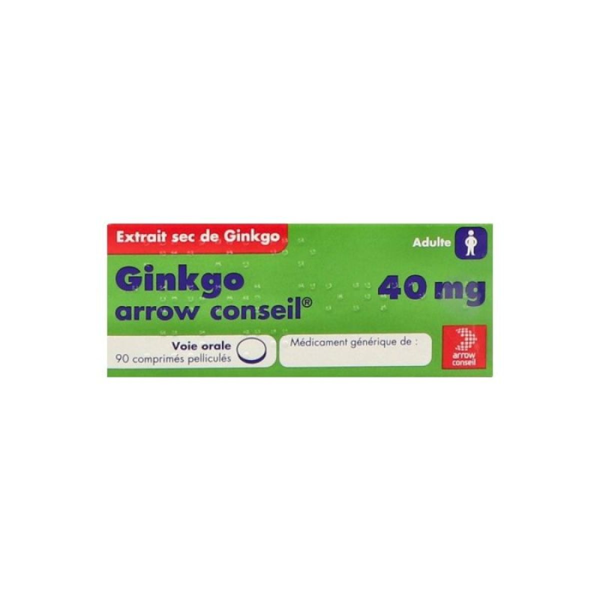 Ginkgo Arrow 40Mg 90 Comprimés - Circulation et Mémoire