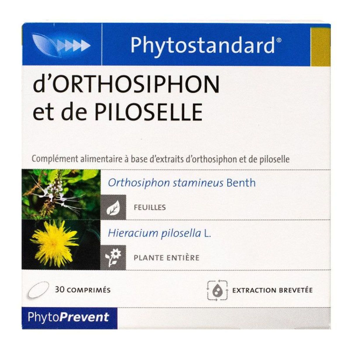 Phytostandard Orthosiphon & Piloselle 30 comprimés - Drainage naturel