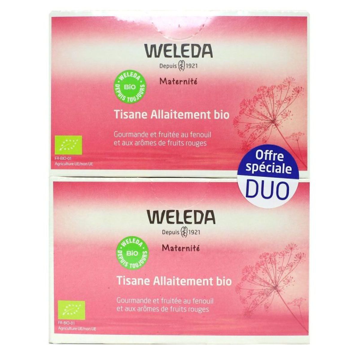 Tisane Allaitement Fruits Rouges - Stimulation Lactation 2x20 Sachets