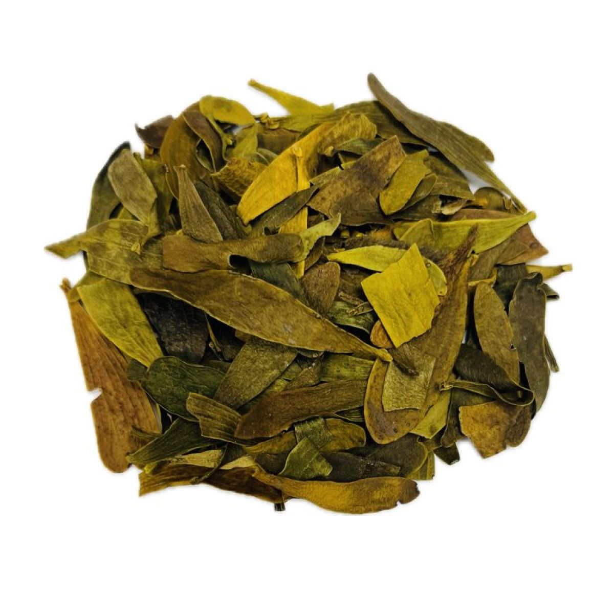 Gui Iphym Feuille Mondee 100G